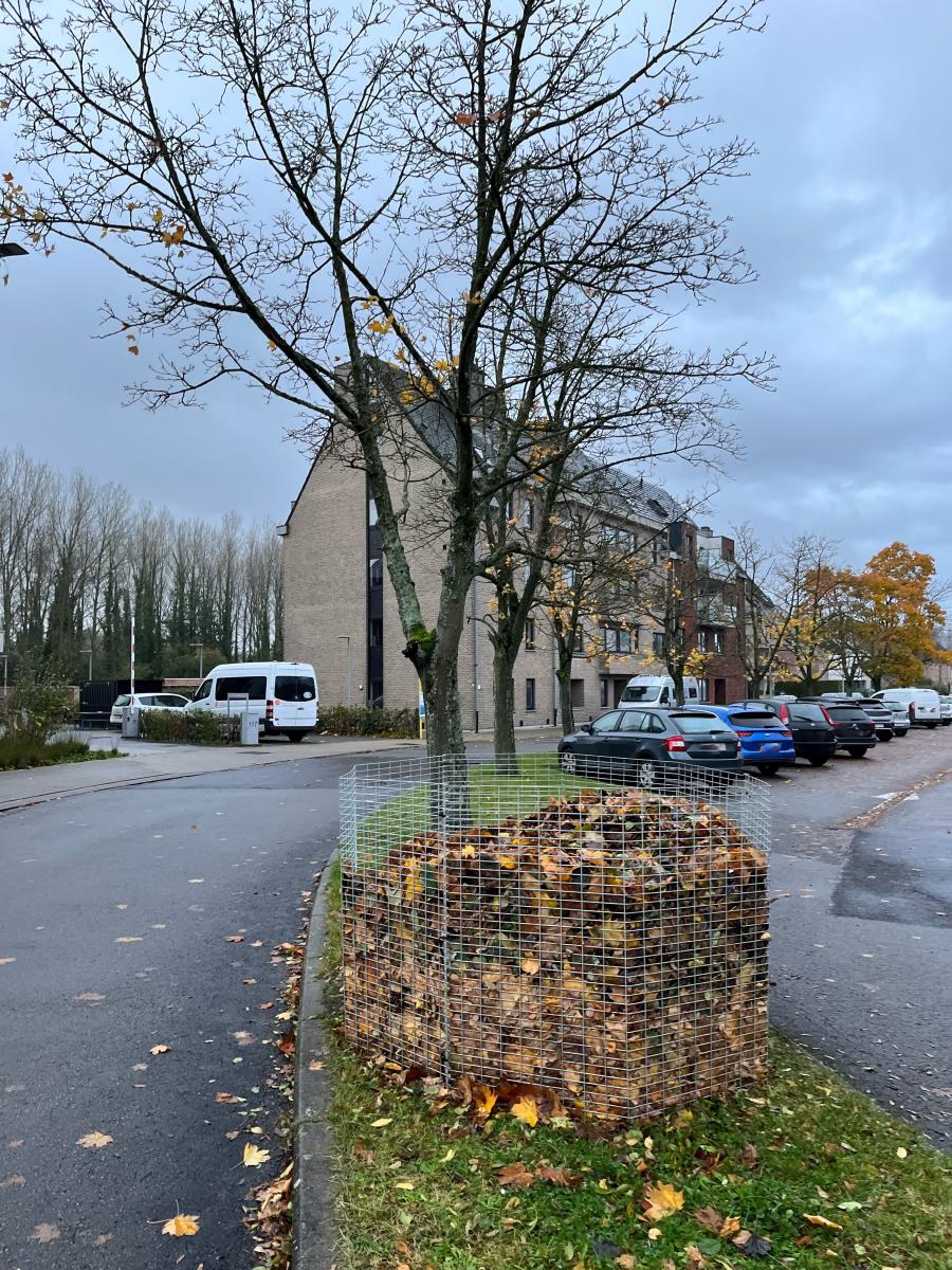 Bladkorven | Stad Oudenaarde